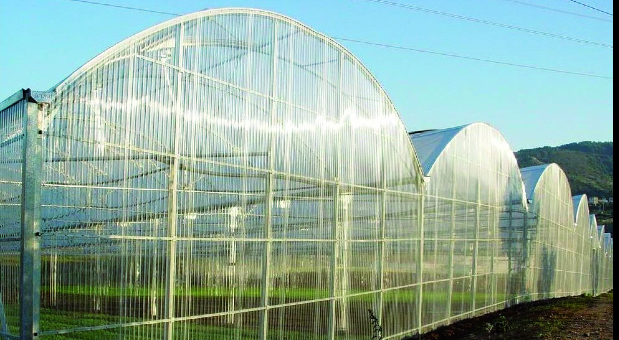 Macrolux Rooflite | Tizacril